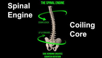 David Weck: Enhancing the Core of Athletic Movement - On Target ...