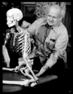 Stacy Barrows: Foam Roller History and Practical Use - On Target ...