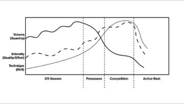 Figure_4.2_The_System_Undulating_Periodization_Model - On Target ...