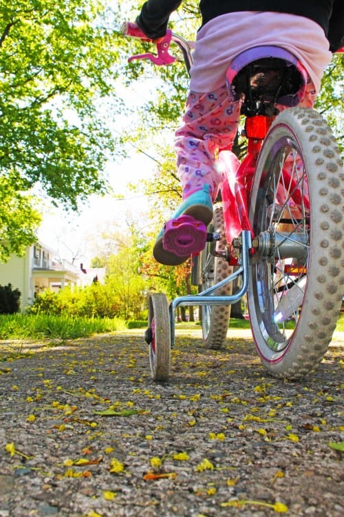 Gray Cook Movement Principles